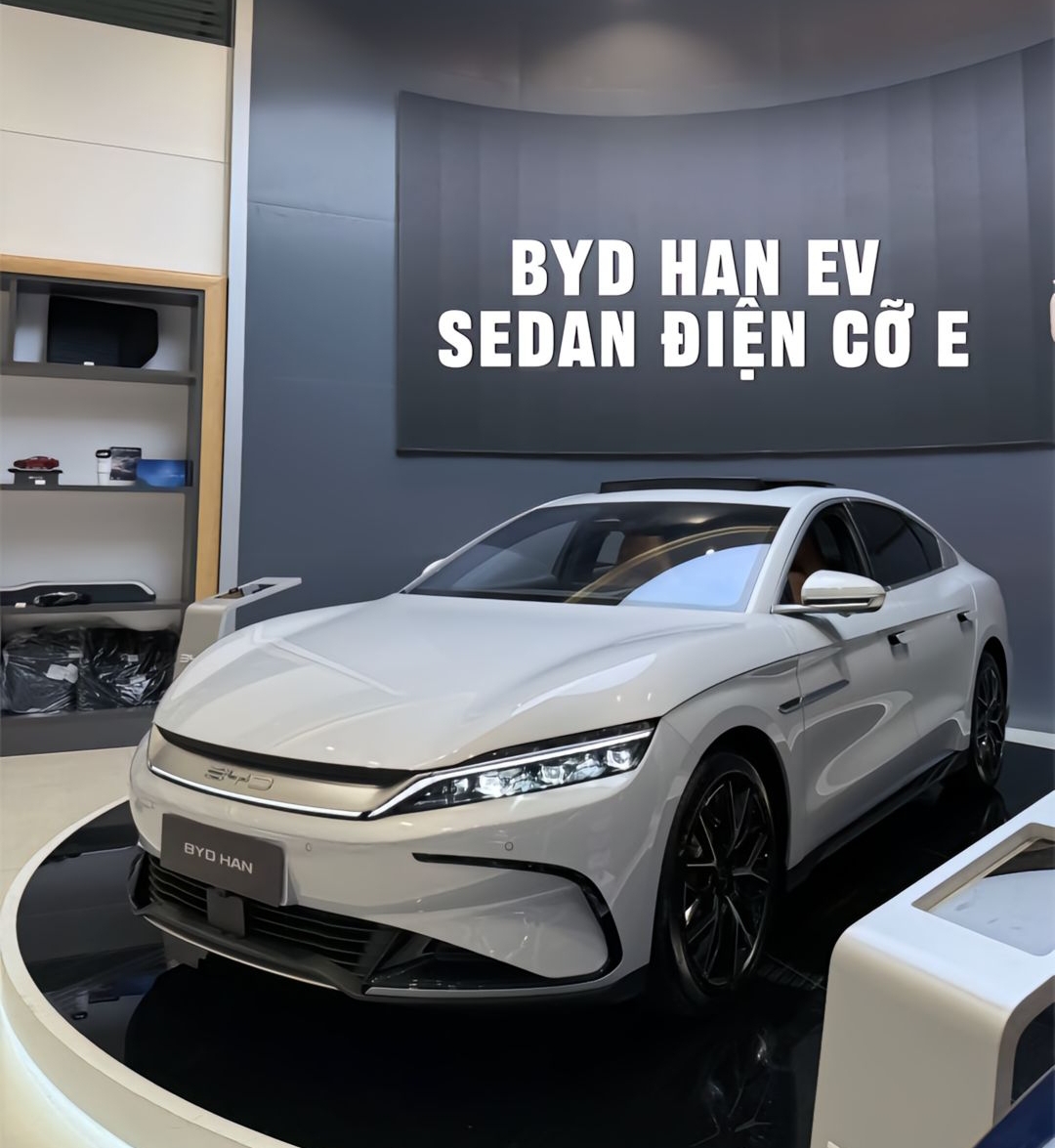 Aegis Global EV Logistics | Premium Electric Vehicle Export